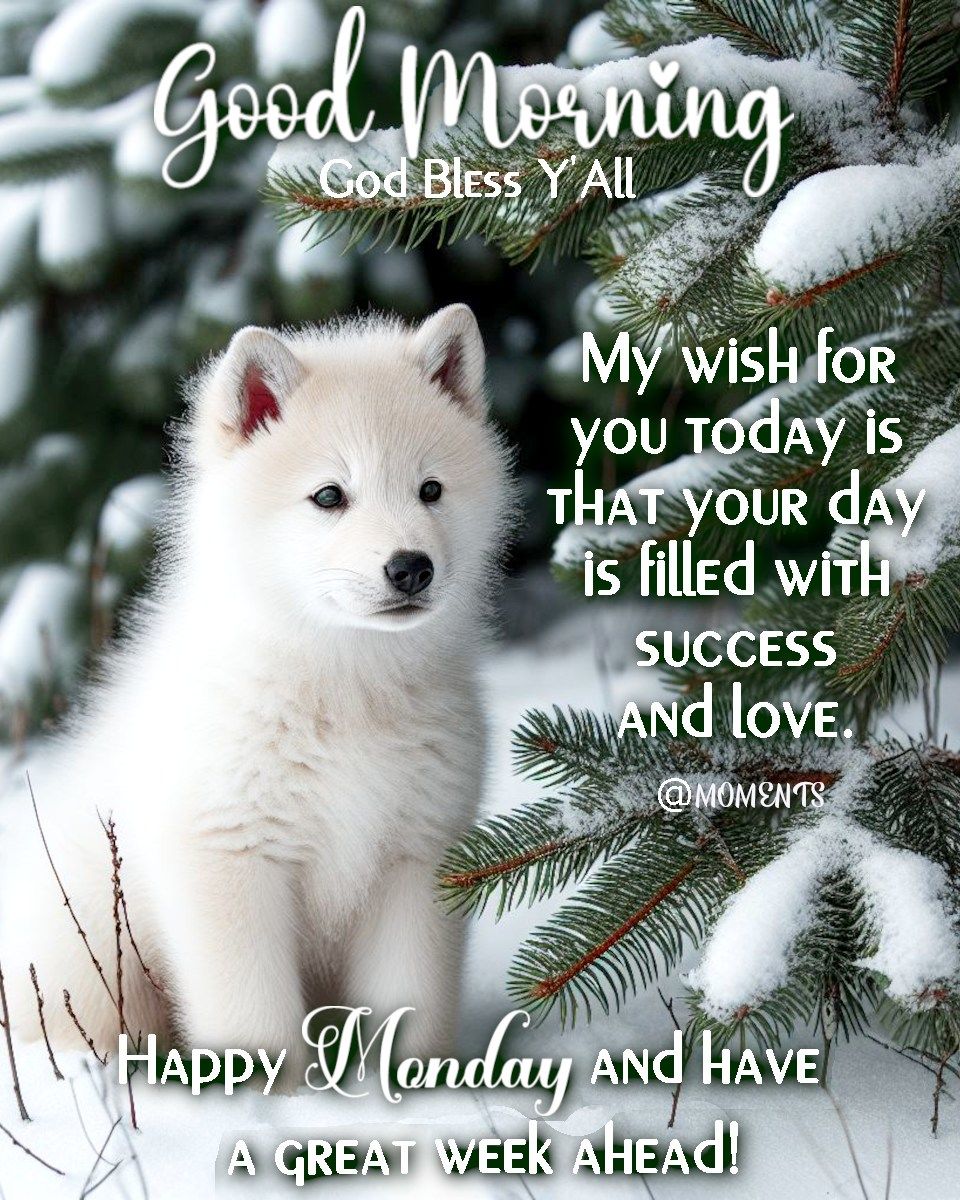 Baby Wolf Good Morning Happy Monday Pictures, Photos, and Images for ...