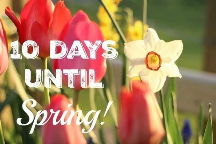 10 Days Until Spring Pictures, Photos, and Images for Facebook, Tumblr, Pinterest, and Twitter