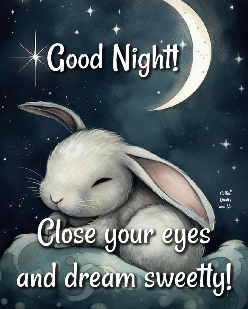 Good Night Bunny - Close Your Eyes And Dream Sweetly Pictures, Photos ...