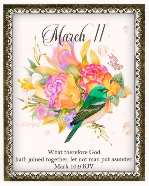 March 11 Blessing: What Therefore God Hath Joined Together, Let Not Man ...