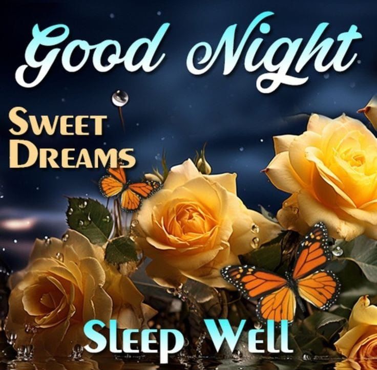 Butterfly & Roses Good Night Greeting Pictures, Photos, and Images for ...