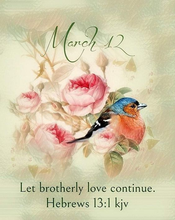 March 12 Hebrews 13 Bible Verse Pictures, Photos, and Images for ...