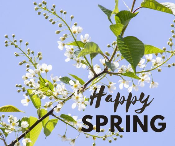 Pretty Happy Spring Flowers Pictures, Photos, and Images for Facebook ...