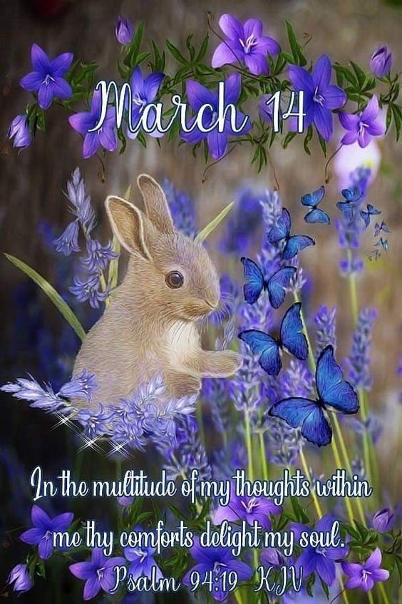 March 14 Pictures, Photos, and Images for Facebook, Tumblr, Pinterest ...