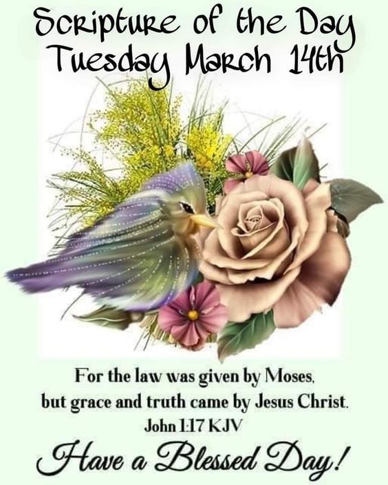 Scripture Of The Day, Tuesday March 14th Pictures, Photos, and Images ...