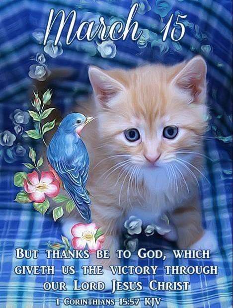 March 15 Bible Verse Pictures, Photos, and Images for Facebook, Tumblr ...