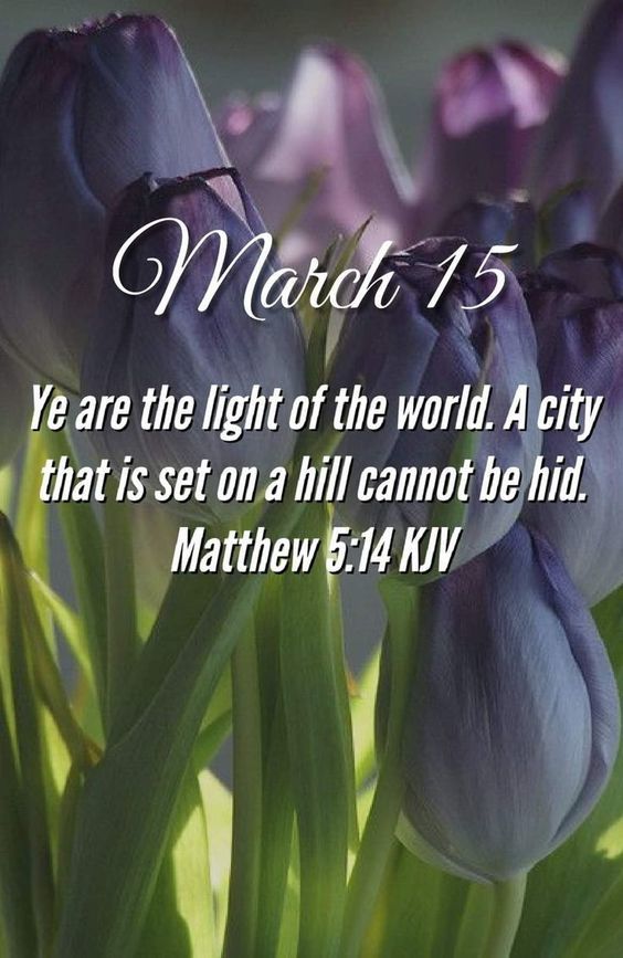 March 15 Matthew 5:14 Pictures, Photos, and Images for Facebook, Tumblr ...