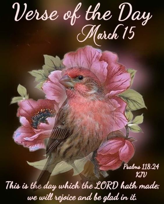 Verse Of The Day, March 15 Pictures, Photos, and Images for Facebook ...