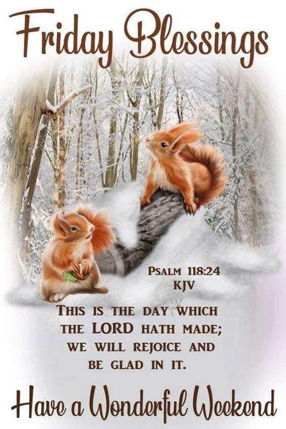 Winter Squirrel Friday Blessings Pictures, Photos, and Images for ...