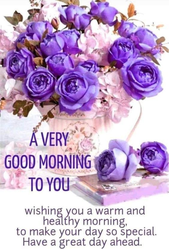 Purple Rose Good Morning Greeting Pictures, Photos, and Images for ...