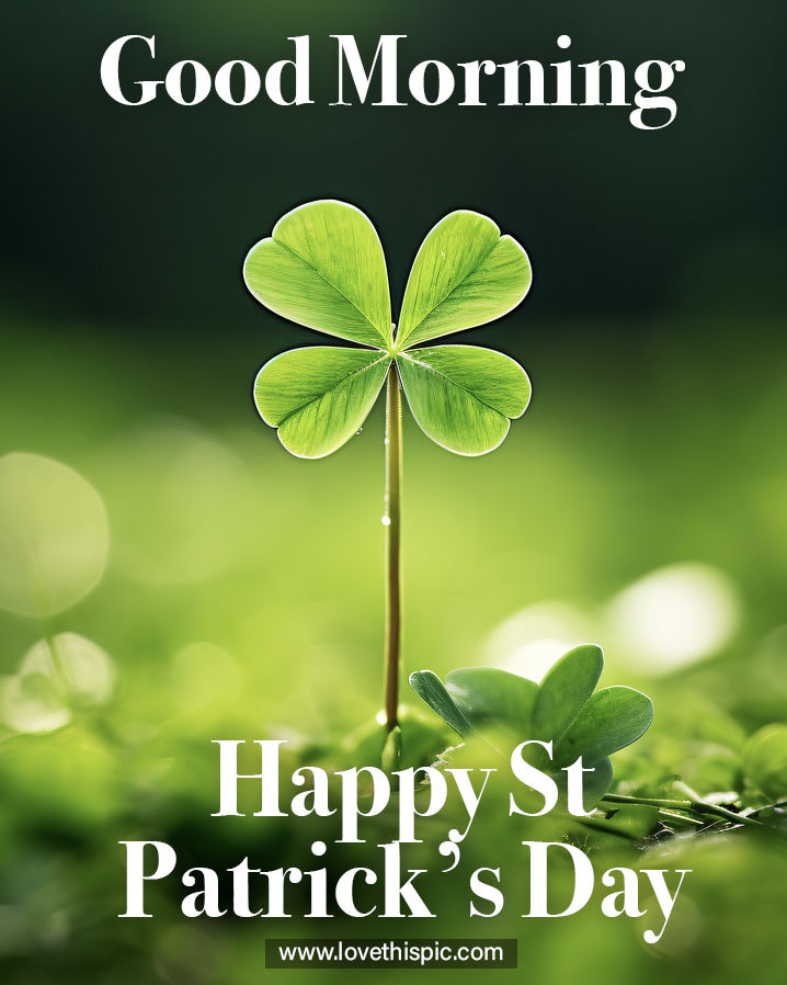 Little Clover Good Morning St Patrick's Day Pictures, Photos, and ...