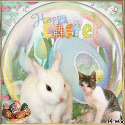 Happy Easter Animated Gif With White Bunny And Cat Pictures, Photos ...