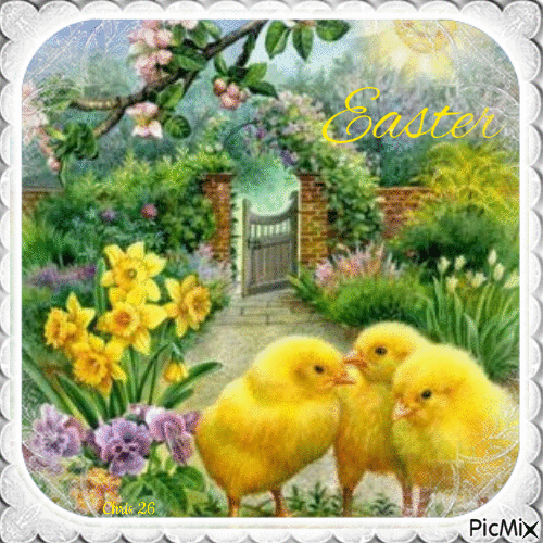 Yellow Easter Chicks Gif Pictures, Photos, and Images for Facebook ...