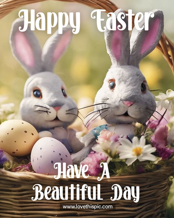 Bunny In Basket - Happy Easter, Have A Beautiful Day Pictures, Photos ...