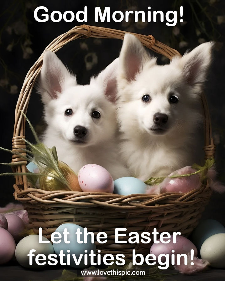 Good Morning! Let The Easter Festivities Begin! Pictures, Photos, and ...