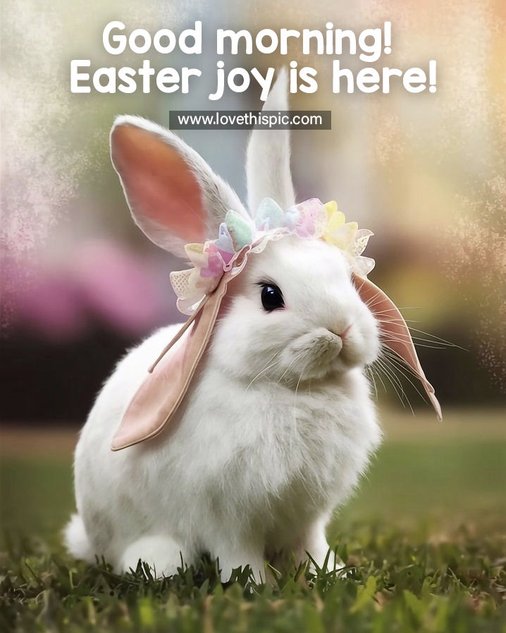 Good Morning! Easter Joy Is Here! Pictures, Photos, and Images for Facebook, Tumblr, Pinterest ...