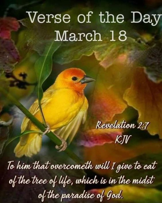 Revelation 2:7 Verse Of The Day For March 18 Pictures, Photos, and ...