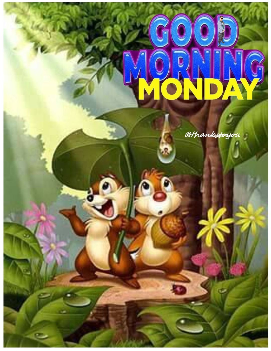 Chipmunk Good Morning Monday Greeting Pictures, Photos, and Images for ...