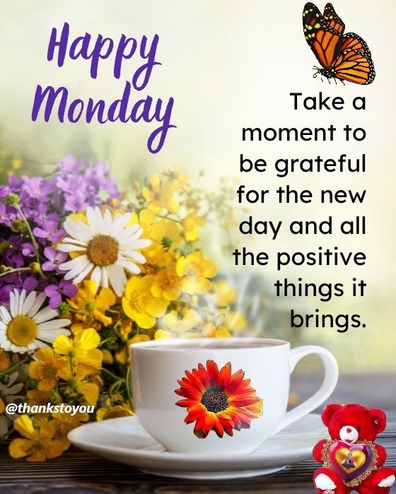 Take A Moment To Be Grateful For The New Day And All The Positive ...