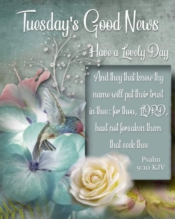 Tuesday's Good News Pictures, Photos, and Images for Facebook, Tumblr ...
