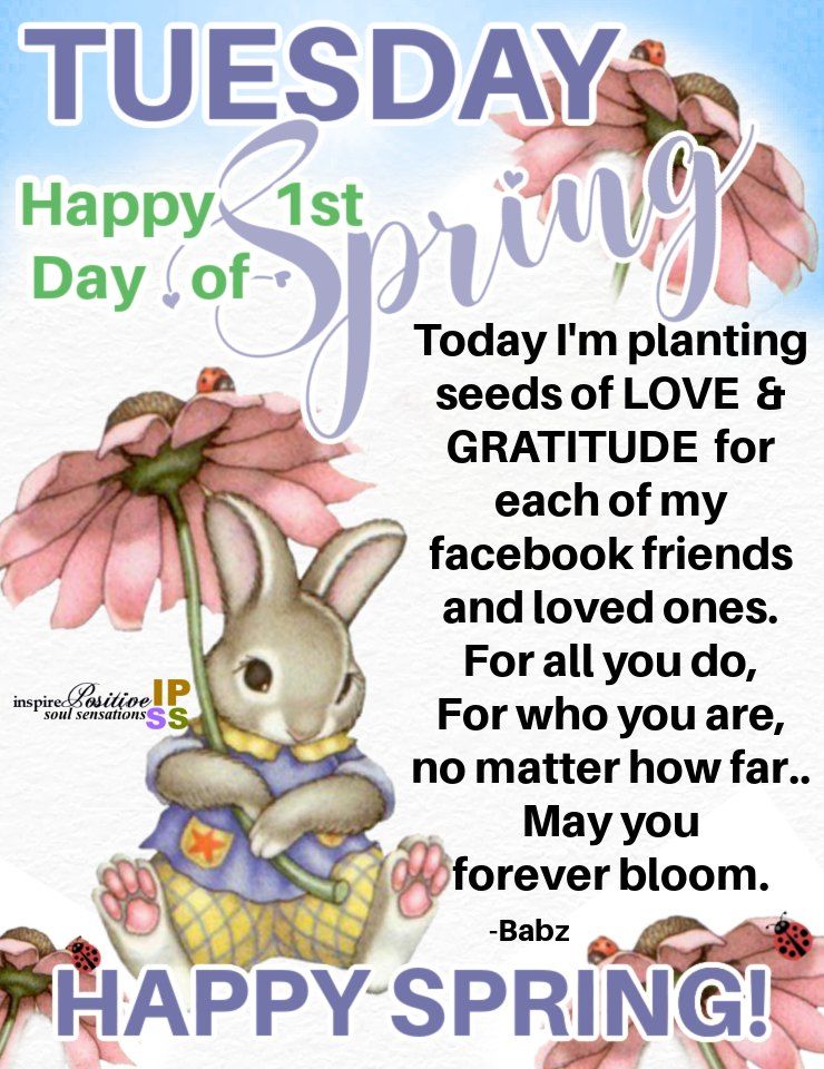 Happy 1st Day Of Spring! Pictures, Photos, and Images for Facebook ...