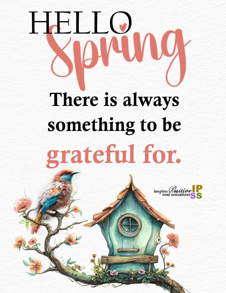 Hello Spring: There Is Always Something To Be Grateful For. Pictures ...