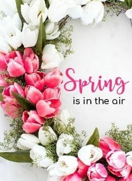 Spring Is In The Air Pictures, Photos, and Images for Facebook, Tumblr ...