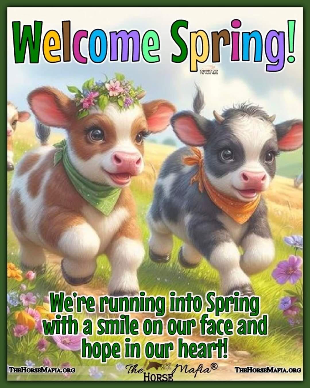 Welcome Spring Cows Pictures, Photos, and Images for Facebook, Tumblr ...