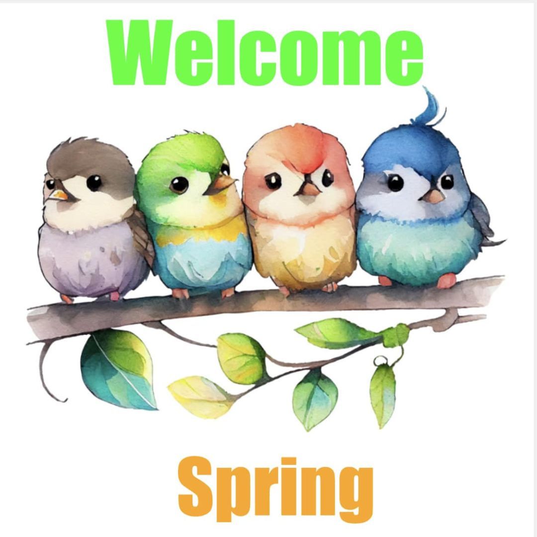 Pretty Birds Welcome Spring Quote Pictures, Photos, and Images for ...