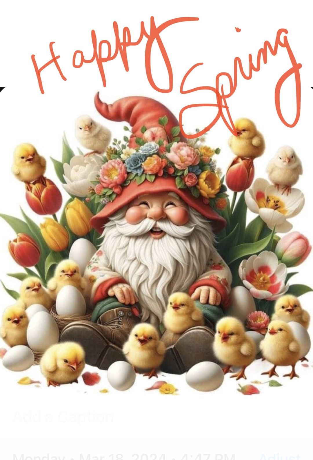 Happy Spring Greeting With Gnome And Chicks Pictures, Photos, and ...