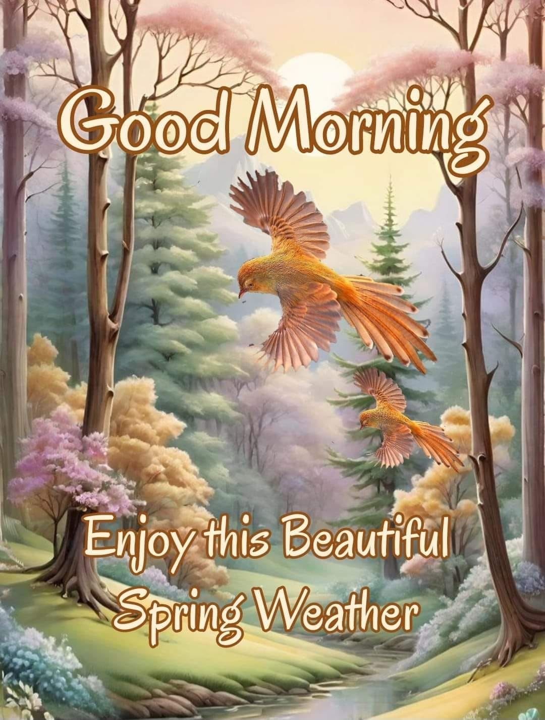 Enjoy This Beautiful Spring Weather, Good Morning Pictures, Photos, and ...