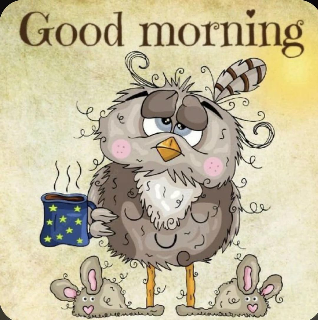 Sleepy Owl Good Morning Pictures, Photos, and Images for Facebook ...