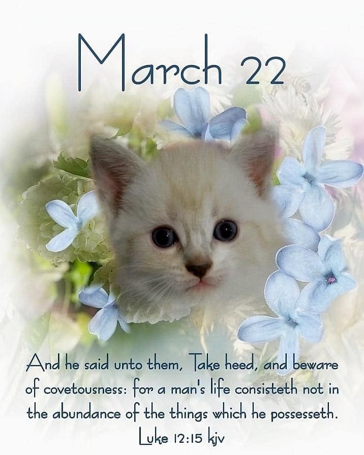 March 22 Blessings Pictures, Photos, and Images for Facebook, Tumblr ...