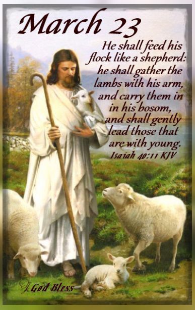 Isaiah 40:11 March 23 Scripture Pictures, Photos, and Images for ...