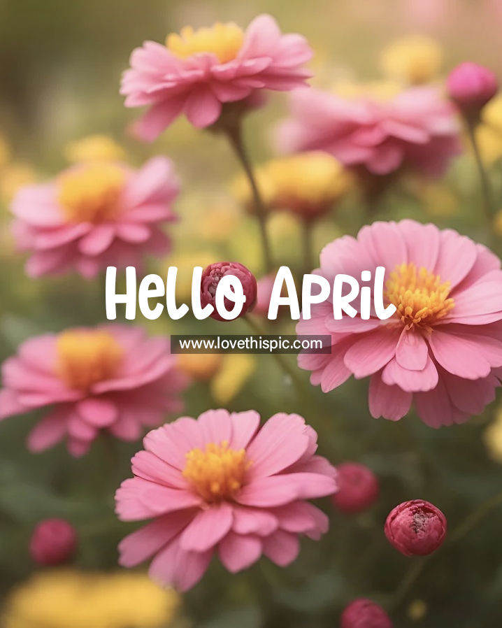 Pink Flower Hello April Quote Pictures, Photos, and Images for Facebook ...