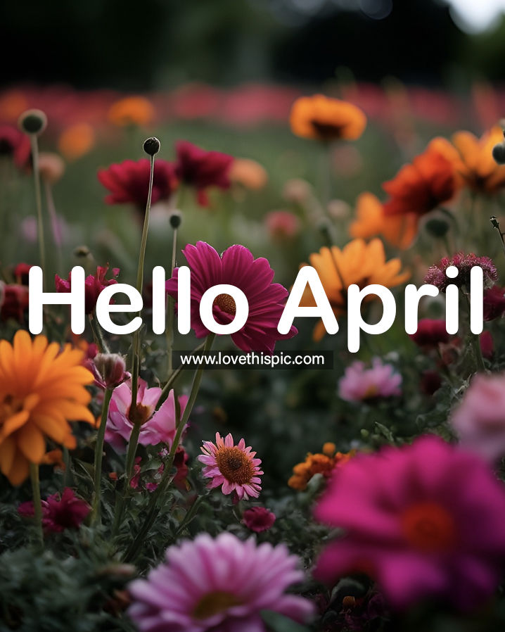 Field Of Flowers - Hello April Greeting Pictures, Photos, and Images ...