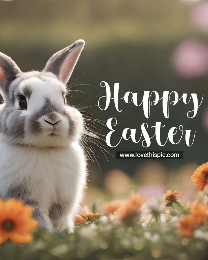 Bunny In Field Happy Easter Quote Pictures, Photos, and Images for ...