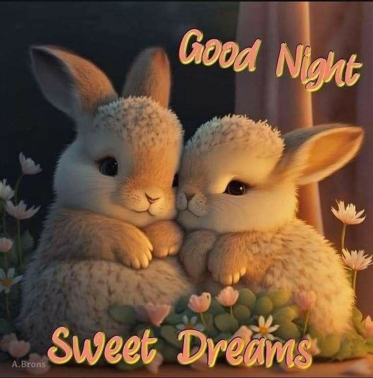 Cuddling Bunnies Good Night Quote Pictures, Photos, and Images for ...