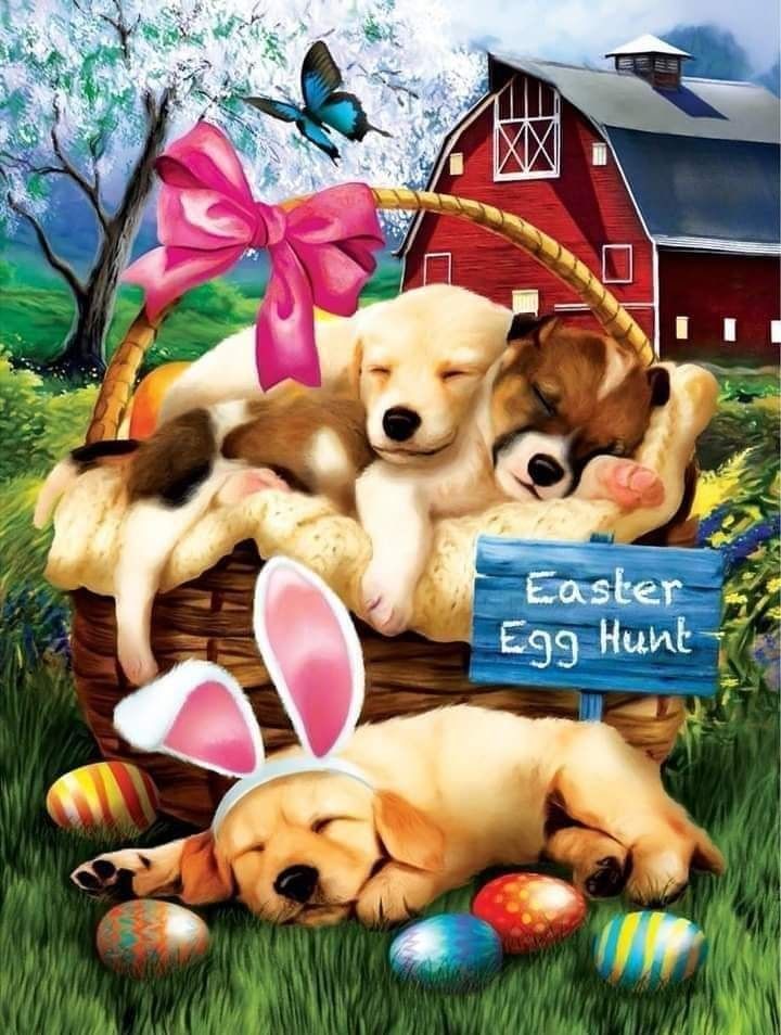 Easter Egg Hunt Quote Pictures, Photos, and Images for Facebook, Tumblr ...