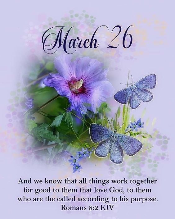 Romans 8:2 March 26 Scripture Pictures, Photos, and Images for Facebook ...