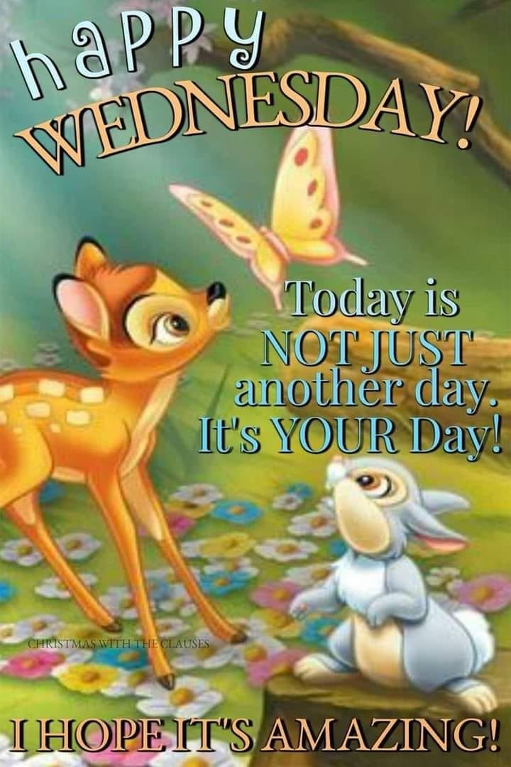 Happy Wednesday: Today Is Not Just Another Day, It's Your Day! Pictures ...