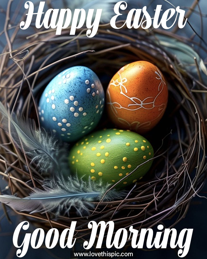 Easter Eggs In Nest - Happy Easter Good Morning Pictures, Photos, and ...
