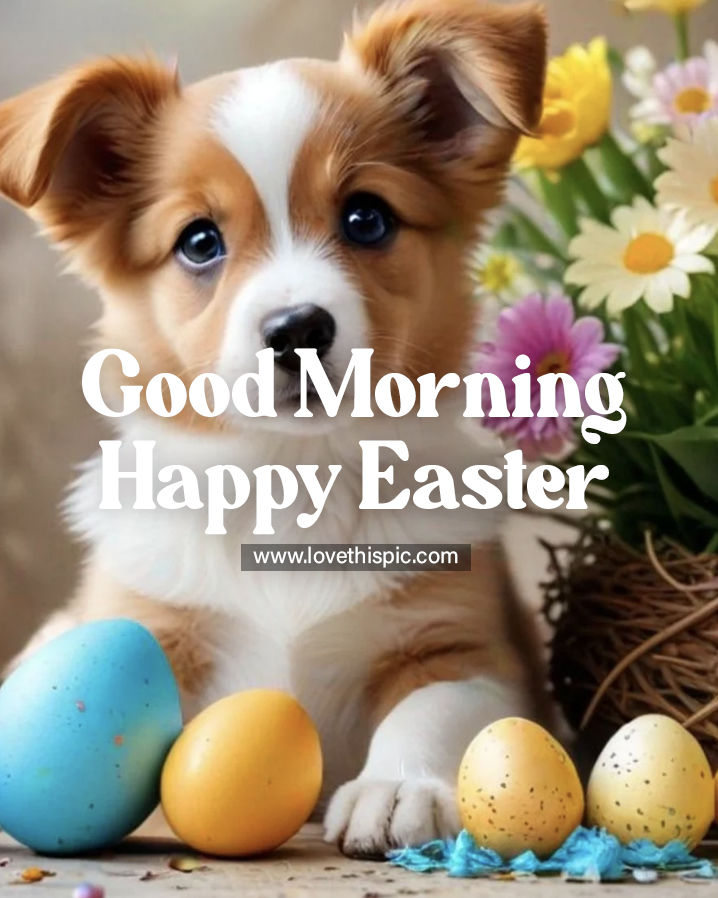 Ai Puppy - Good Morning Happy Easter Pictures, Photos, and Images for ...