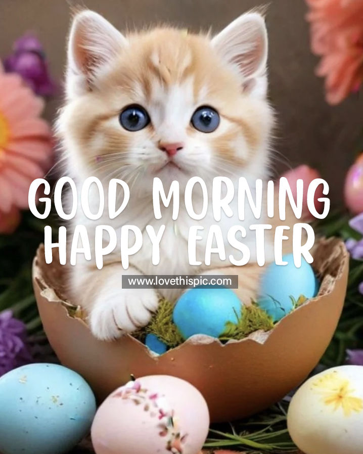 Kitten In Egg - Good Morning, Happy Easter Pictures, Photos, and Images for Facebook, Tumblr ...