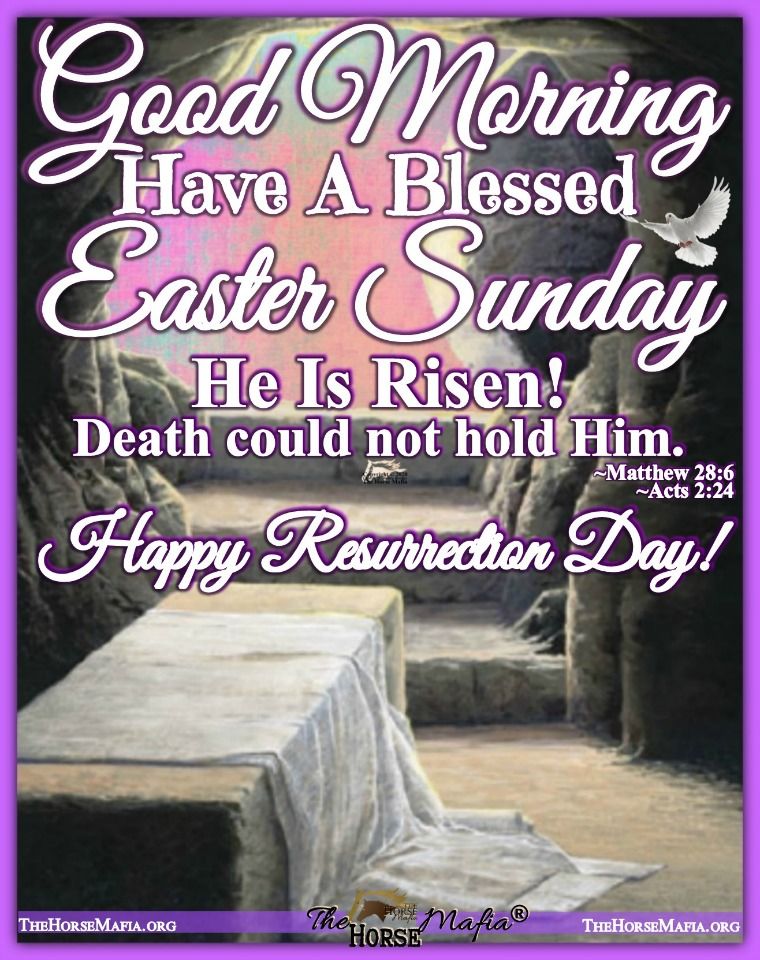 Good Morning Have A Blessed Easter Sunday He Has Risen Pictures, Photos ...