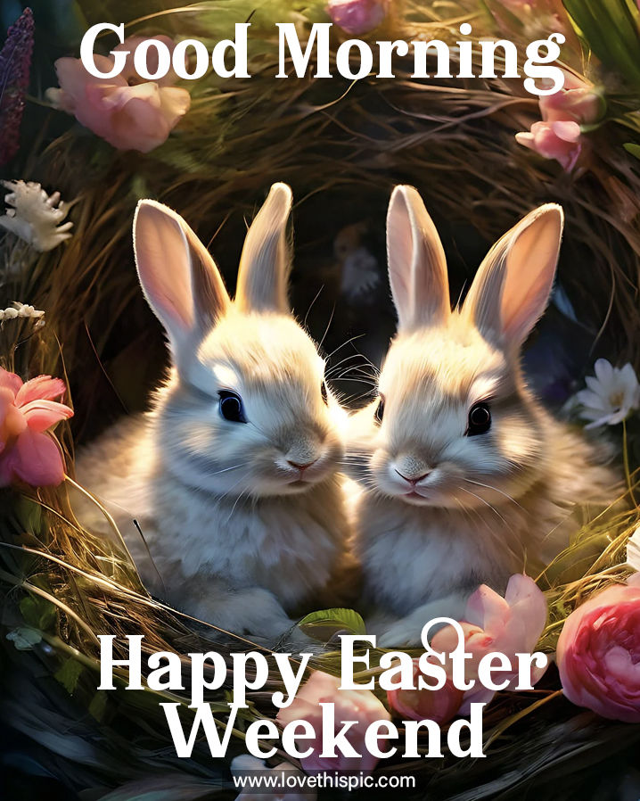 Happy Easter Weekend Morning Quote With Bunnies Pictures, Photos, and Images for Facebook ...