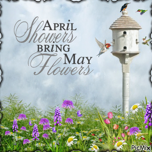 April Showers Bring May Flowers Pictures, Photos, and Images for ...