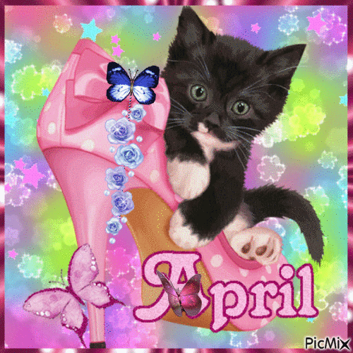 Black Cat & Heel - April Gif Pictures, Photos, and Images for Facebook ...