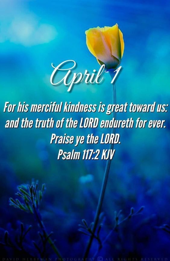 April 1 Pictures, Photos, and Images for Facebook, Tumblr, Pinterest ...