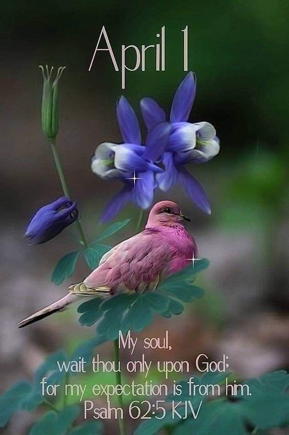 April 1 Psalm 62:5 Scripture Pictures, Photos, and Images for Facebook ...